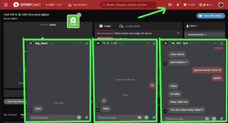 Aktualisierter Privat-Chat bei Stripchat Sieht aus wie LinkedIn / Facebook Web - Cam Girl Blog